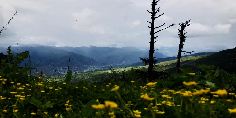 Drive To Chele La Pass | Bhutan Best Inbound Tour